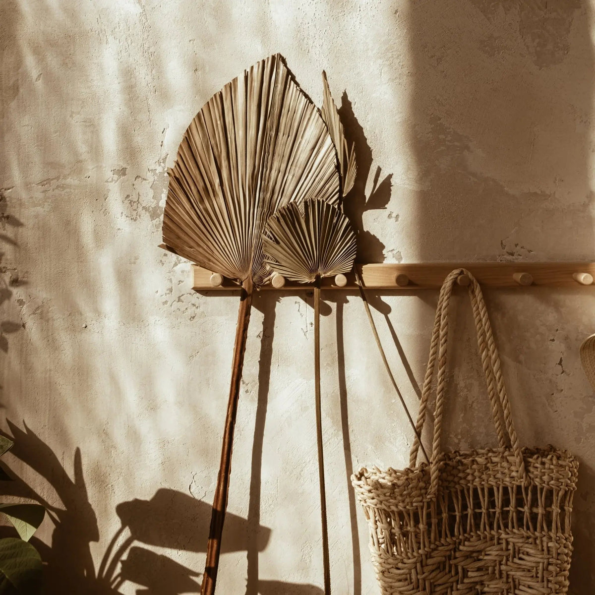 Bags, Belts & Scarfs – Exclusive Accessories by ELLY